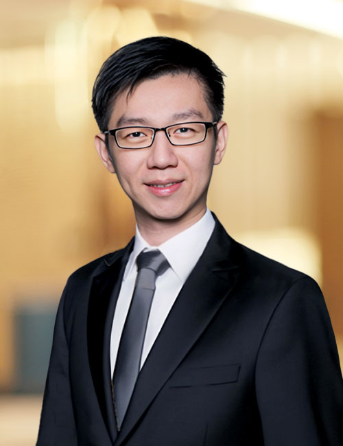 Professor Dr. Ong Wee Jun - 2018 | Merdeka Award