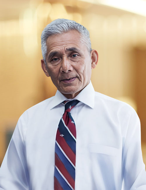 Dato' Seri Tengku Dr. Zainal Adlin Bin Tengku Mahamood - 2017 | Merdeka Award